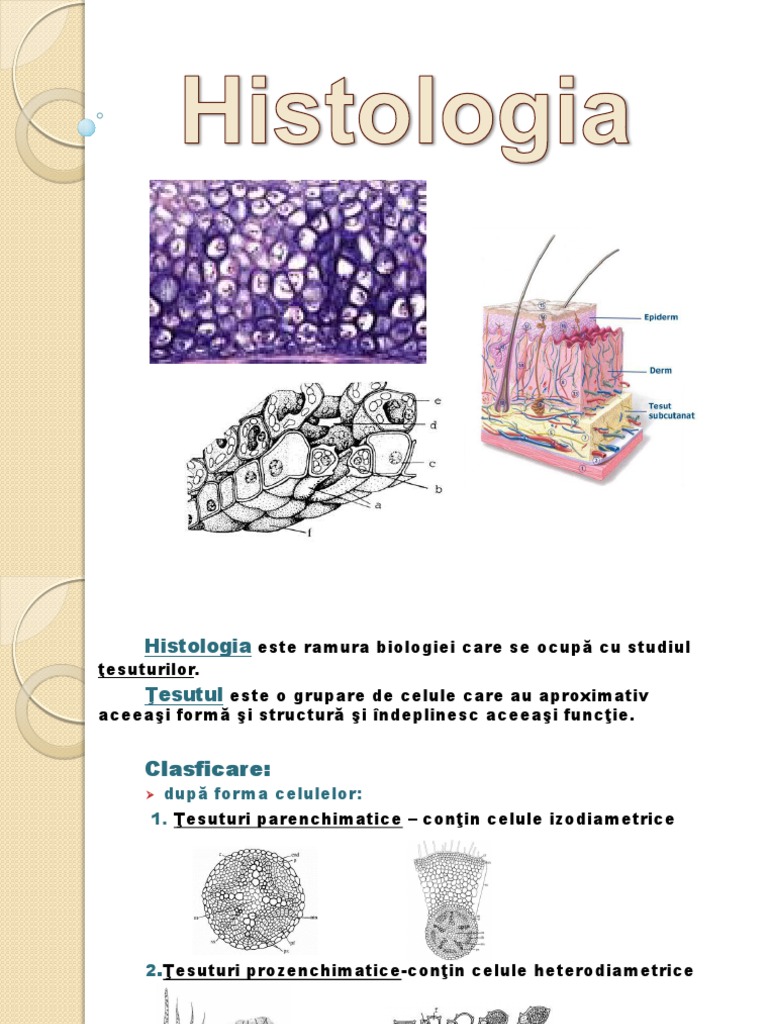 Prezentare Histologie | PDF