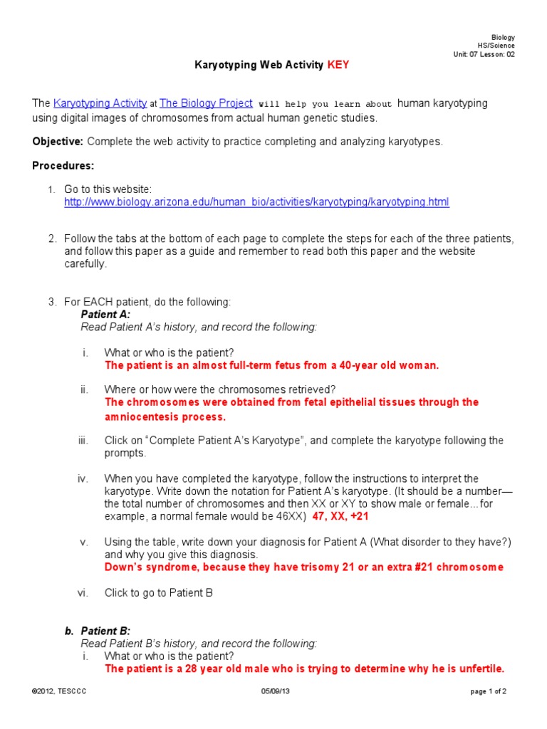 12 - SBIO0702H - Karyotyping Web Activity KEY | PDF | Karyotype | Anatomy