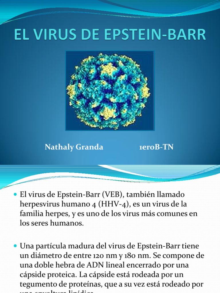 El Virus de Epstein-Barr | PDF | Virus | Inmunología