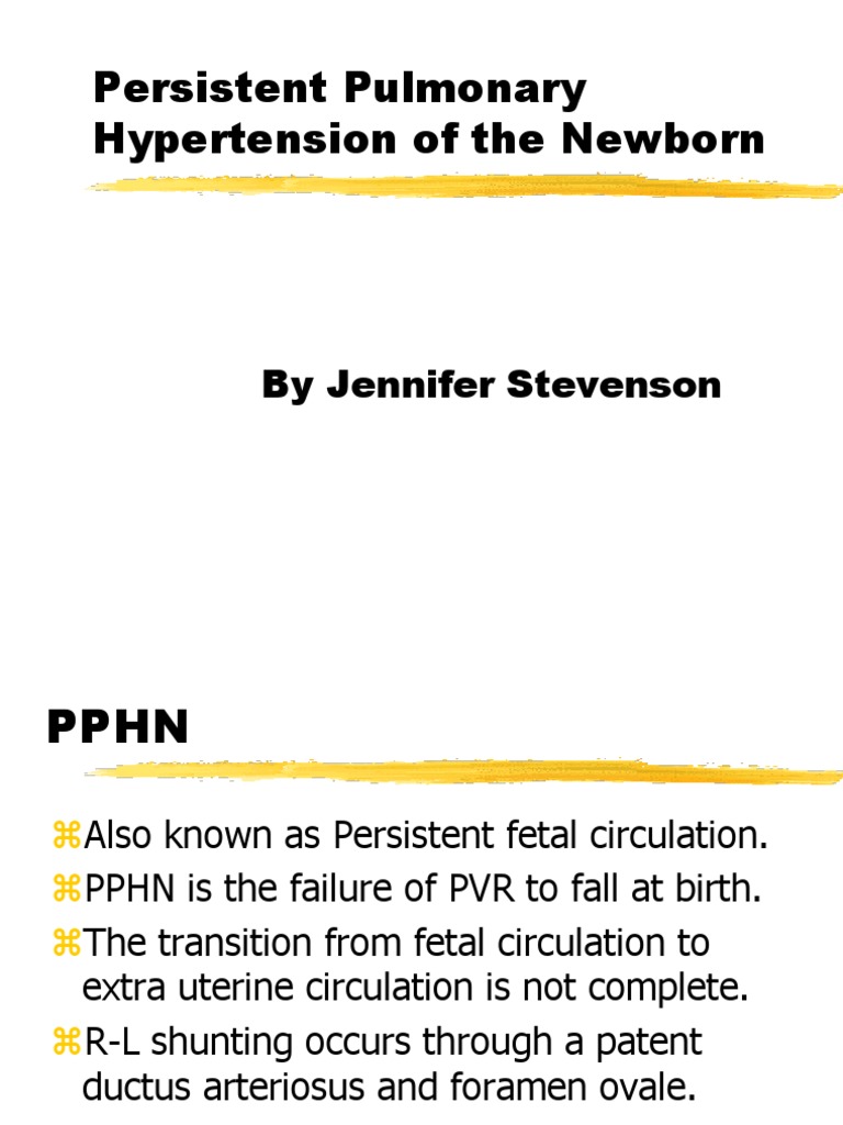 PPHN | PDF | Fetus | Lung