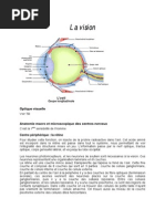 Anatomie Du Corps Genicule Lateral 2022 | PDF | Système visuel | Vision