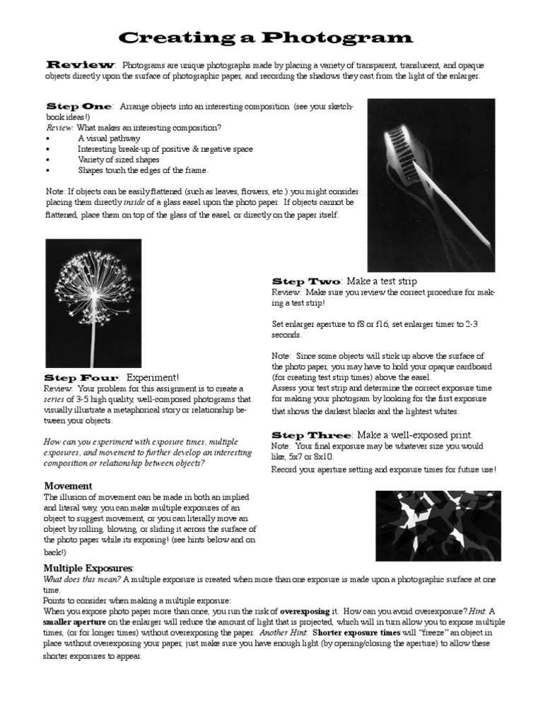 Photogram Techniques for Artists | PDF | Exposure (Photography ...