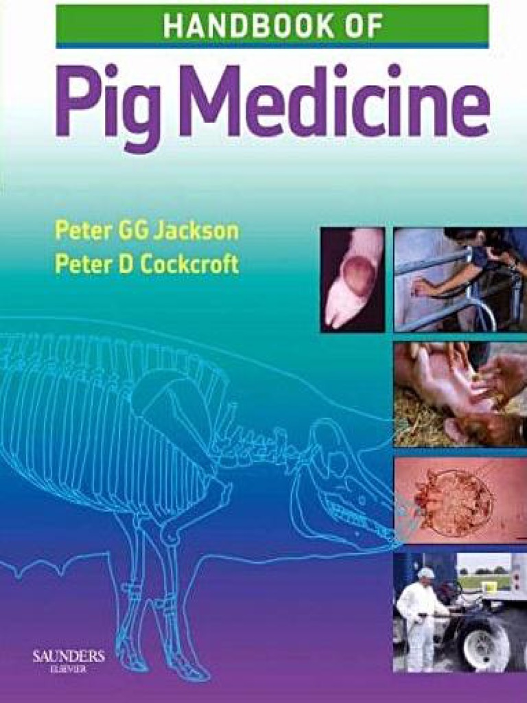 Pig Care Manual | PDF | Domestic Pig | Vein