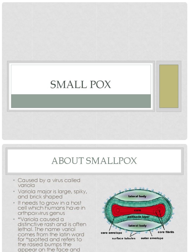 Small Pox | PDF | Smallpox | Infection