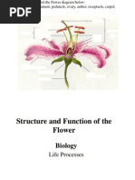 Parts of A Flower Lesson Plan | PDF | Petal | Flowers