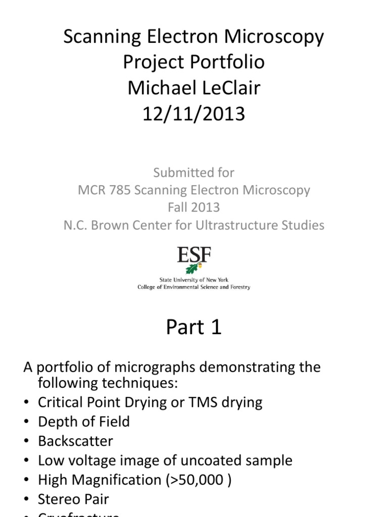 Scanning EM Project Portfolio | PDF | Scanning Electron Microscope ...