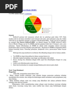 1 - Rmib - Hand Out | PDF