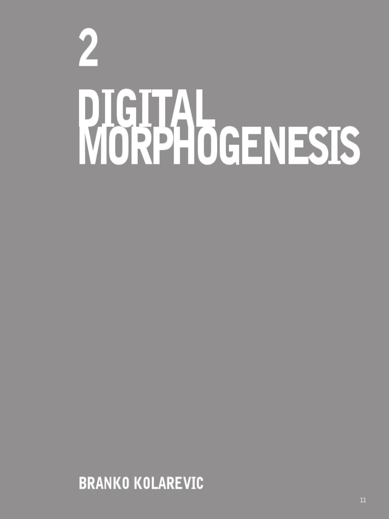 02 Digital Morphogenesis | Download Free PDF | Curvature | Non Euclidean Geometry