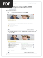 SAP GUI Theme Change Instructions | PDF
