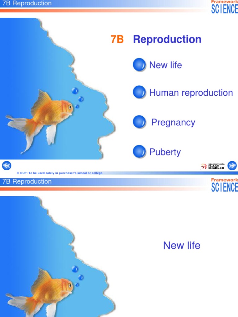 7B Reproduction | PDF | Human Reproduction | Reproduction