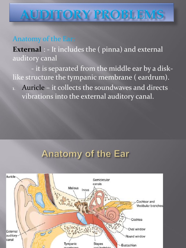 Auditory Problems | PDF | Ear | Vertigo