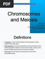 Meiosis Notes 2025 | PDF | Meiosis | Chromosome