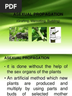Marcotting: Propagation Guide for Plants | PDF | Horticulture | Botany