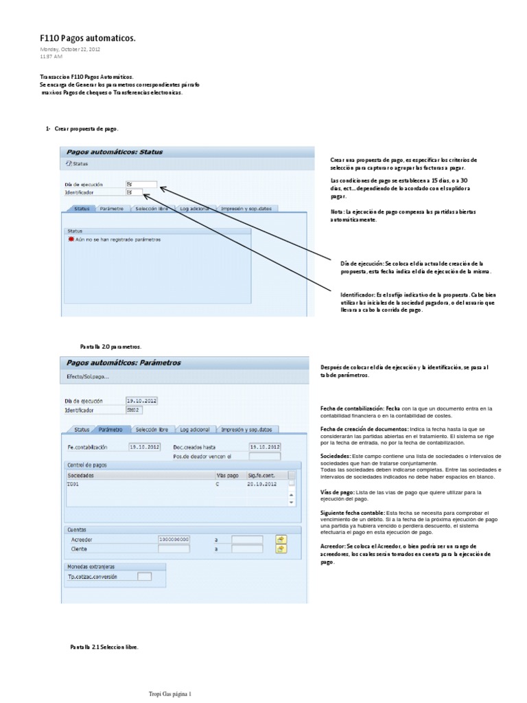 Guía de Pagos Automáticos F110 | PDF | Pagos | Contabilidad