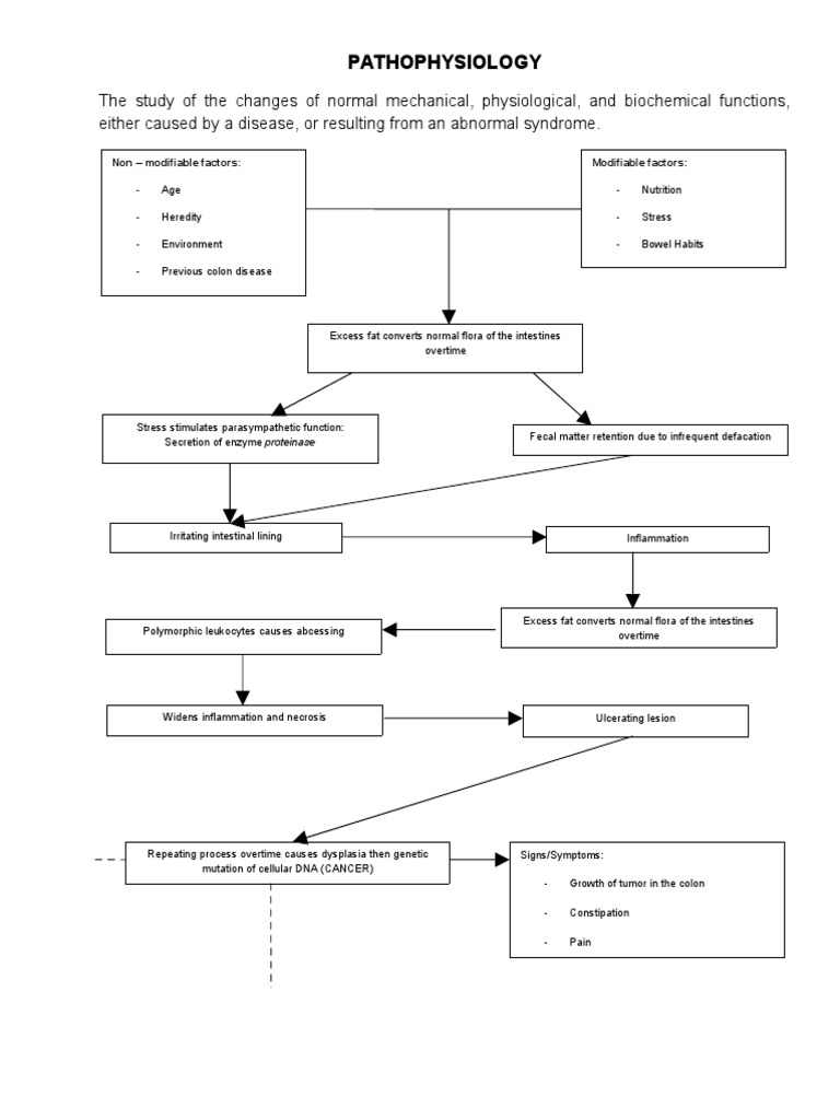 Colon Cancer Pathophysiology Overview | PDF | Wellness