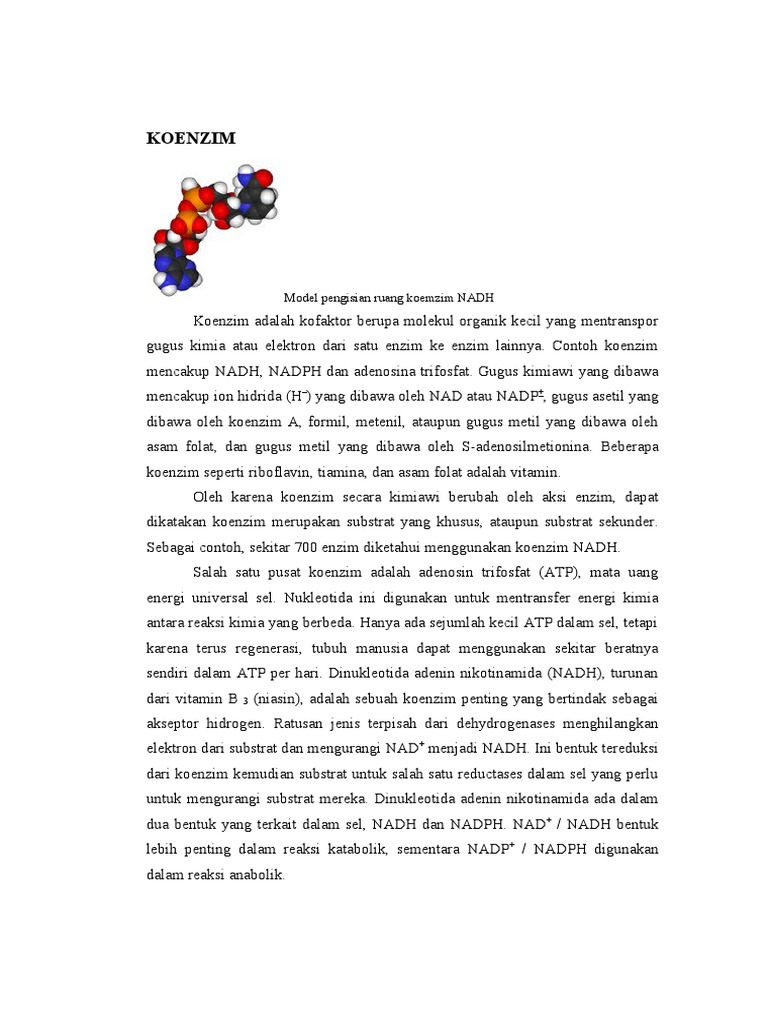 Peran dan Contoh Koenzim dalam Enzim | PDF | Sains & Matematika