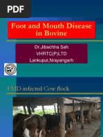 Purina Body Condition Score Diagram | PDF | Abdomen | Pelvis