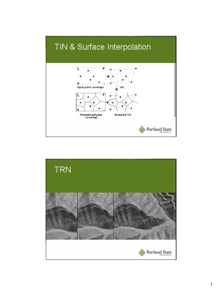 TIN & Surface Interpolation | PDF | Triangle | Mathematical Concepts