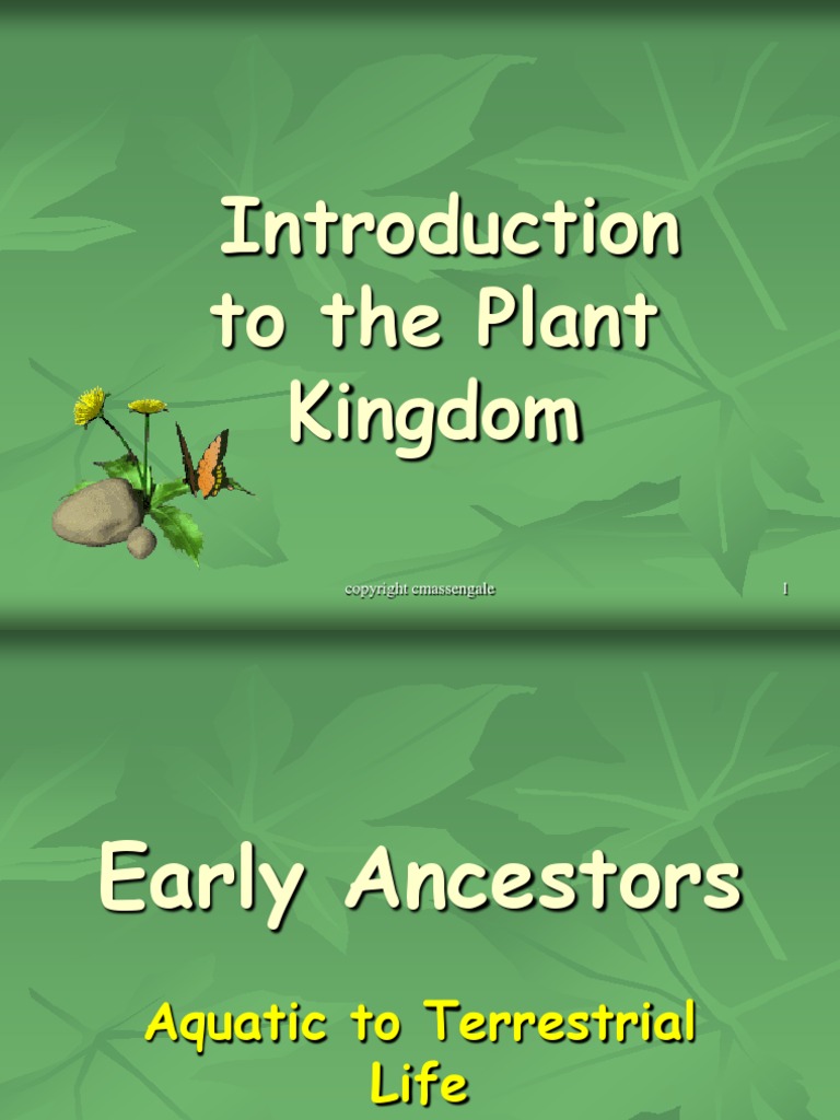 Introduction To Plants | PDF | Plants | Plant Reproduction