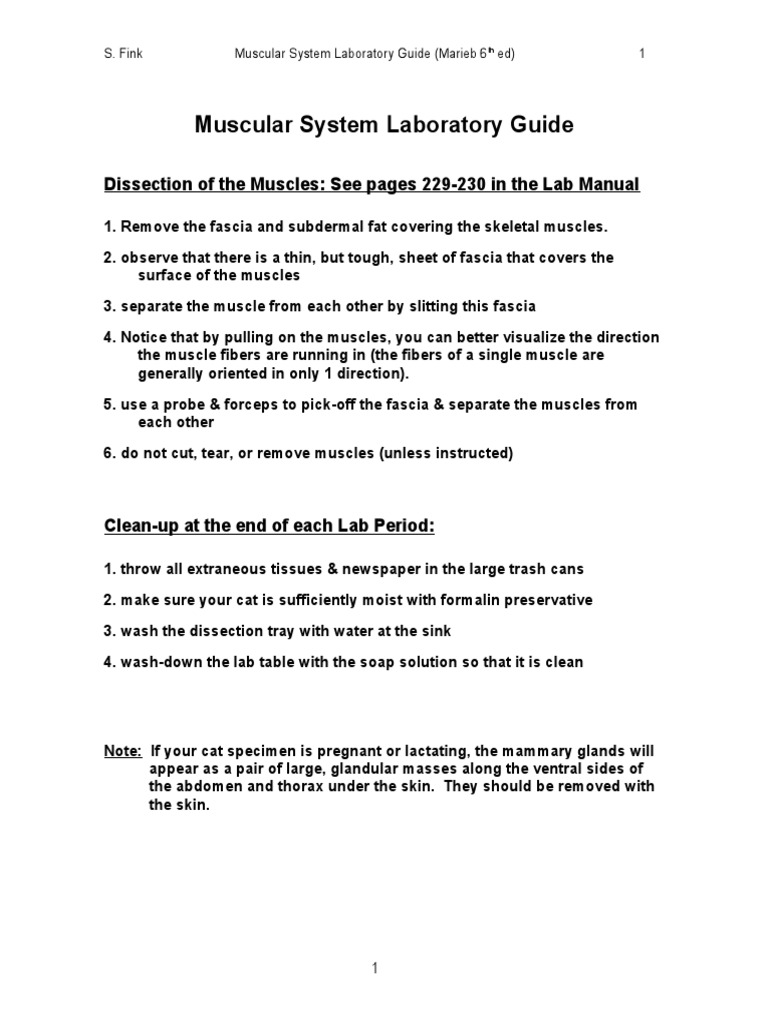 Muscular System Laboratory Guide: Dissection of The Muscles: See Pages ...