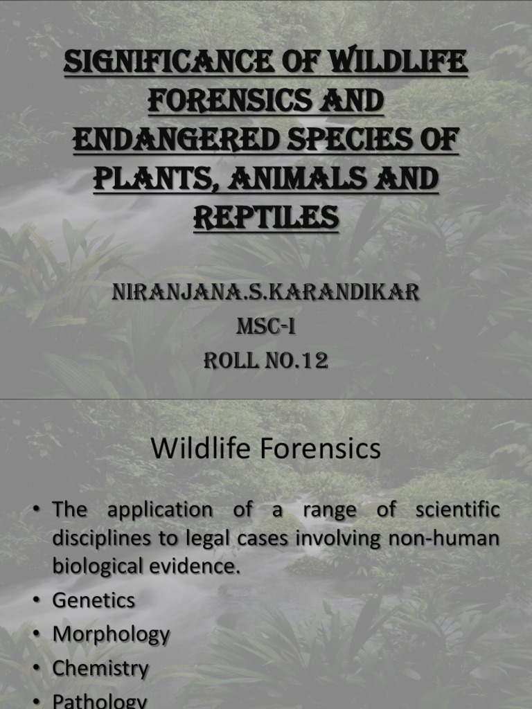 Wildlife Forensics Wildlife Endangered Species