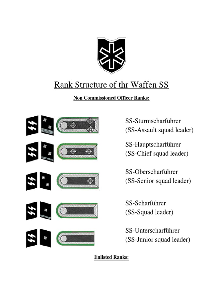 Rank | PDF