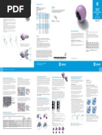 Lima Modular Revision Hip System | PDF | Dental Implant | Medicine