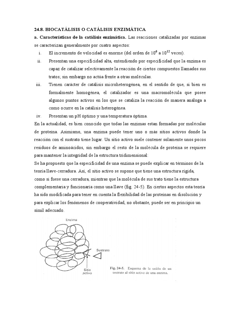 Biocatalisis o Catalisis Enzimatica | PDF | Enzima | Inhibidor de la enzima
