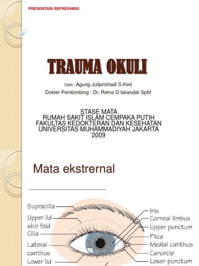 Trauma Okuli | PDF