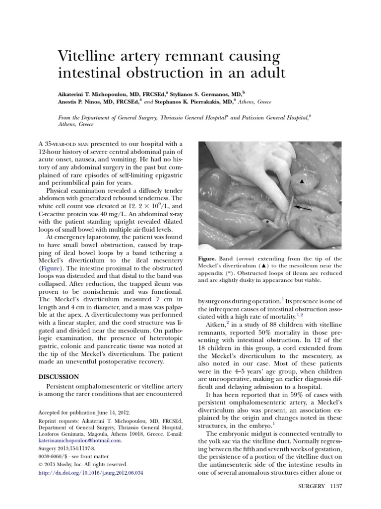 Vitelline Artery Remnant Obstruction | PDF | Digestive Diseases | Anatomy