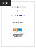 Business Plan On Paper Bag | PDF | Economies | Business