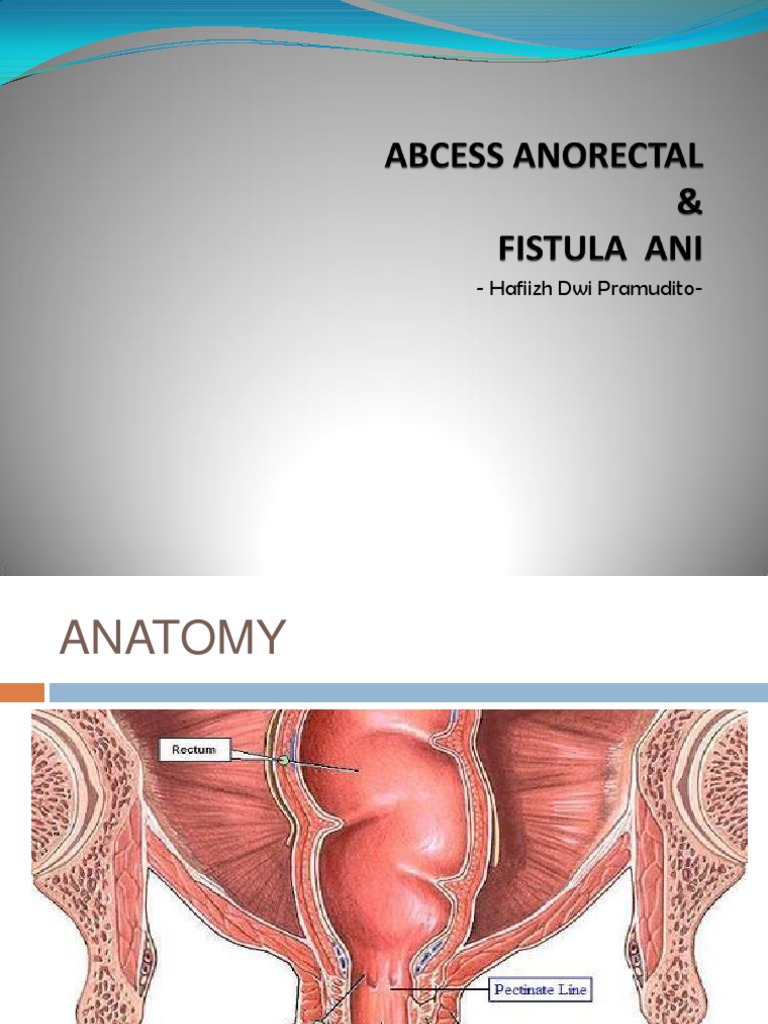 Fistula Perianal | PDF | Clinical Medicine | Medical Specialties Fistula Perianal | PDF | Clinical Medicine | Medical Specialties