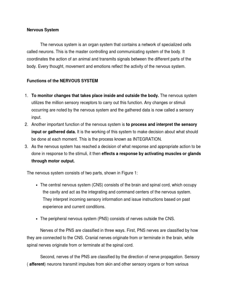 Anatomy and Physiology of Nervous System | PDF | Nervous System ...