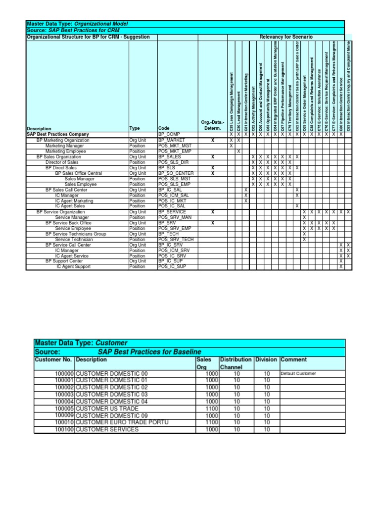 BP CRM Master Data | PDF | Customer Relationship Management ...