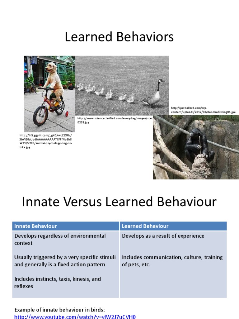 Learned Behaviour | Download Free PDF | Classical Conditioning | Ethology
