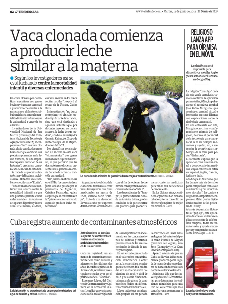 Vaca Clonada A Producir Leche | PDF | Vacas | Amamantamiento