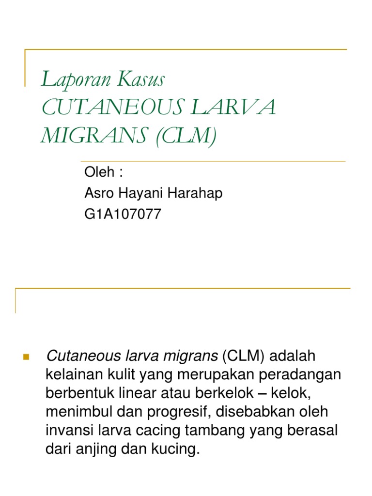Cutaneous Larva Migrans (CLM) | PDF
