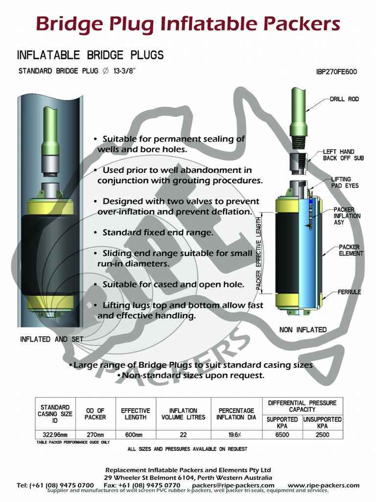 13 3 8 Bridge Plug Metric | PDF