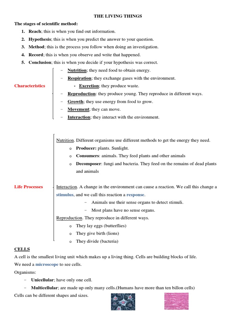 Characteristics and Classification of Life | PDF | Cell (Biology ...