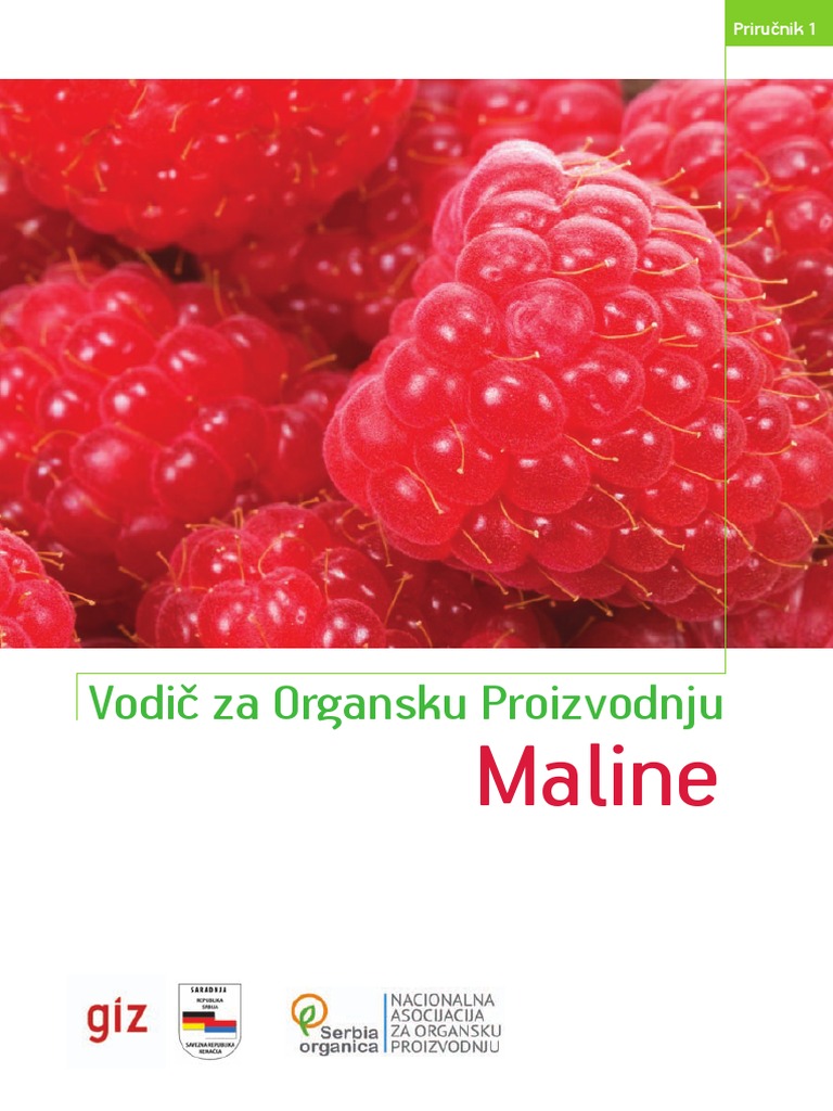 Vodic Za Organsku Proizvodnju Maline | PDF