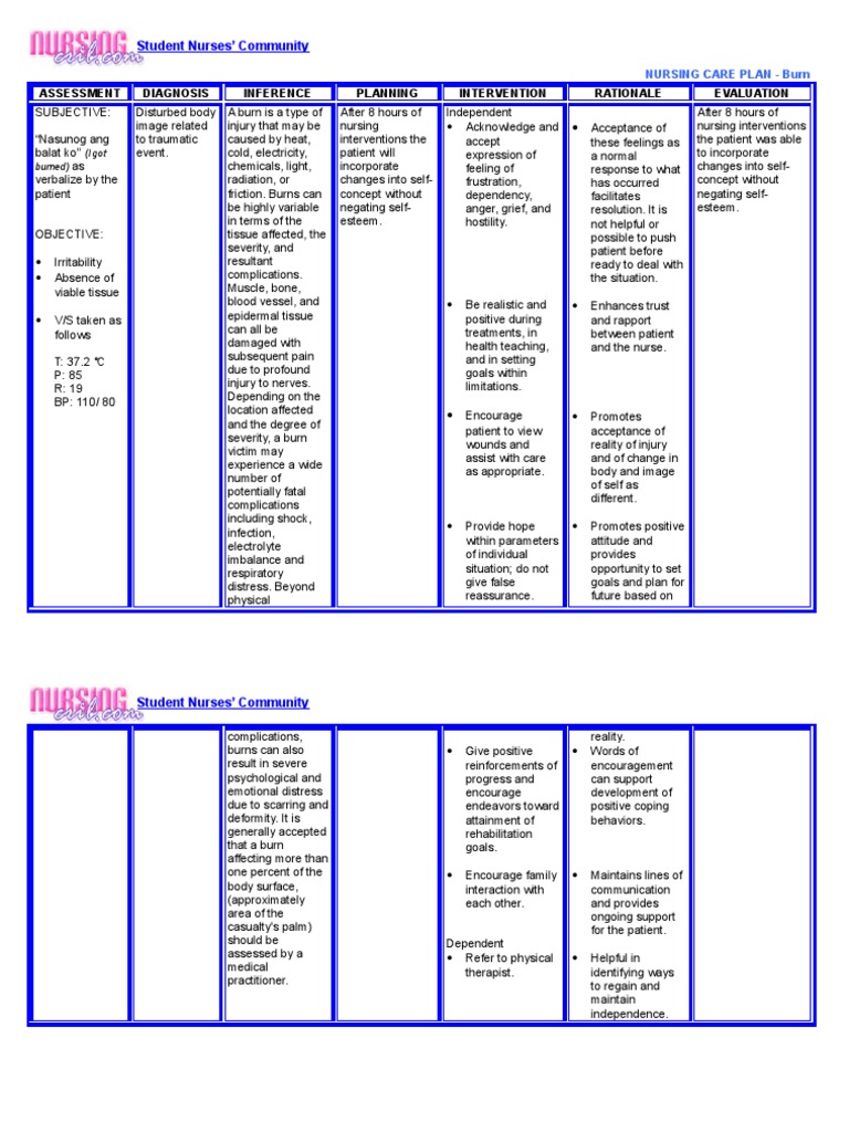 Nursing Care Plan for Burn Patients | PDF | Burn | Physical Therapy