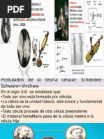 Nomenclatura ALADI - NALADISA (Introducción) | PDF | Taxonomía ...