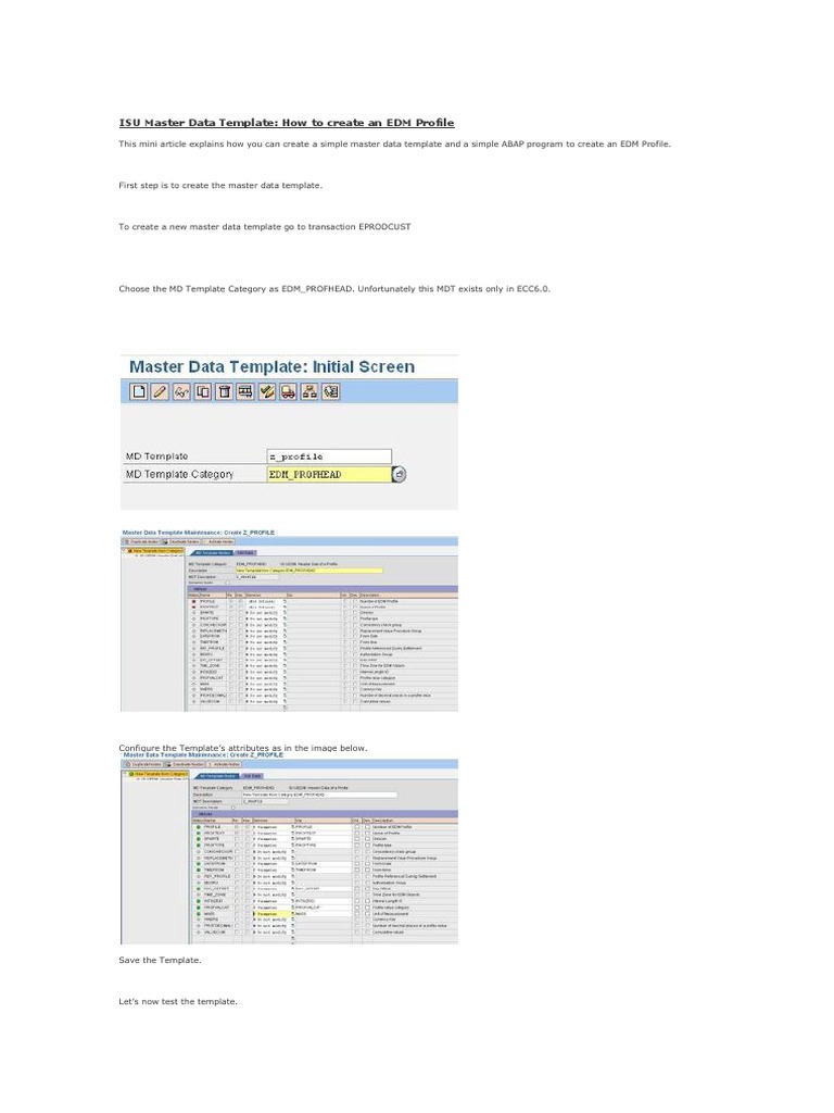 IS-U Master Data Template Creation Guide | PDF | Parameter (Computer ...