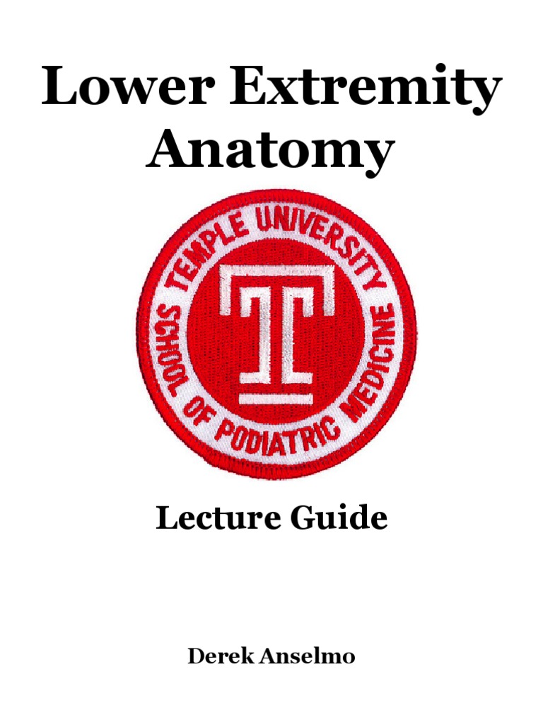 Temple LEA Lecture Guide | PDF | Foot | Human Leg