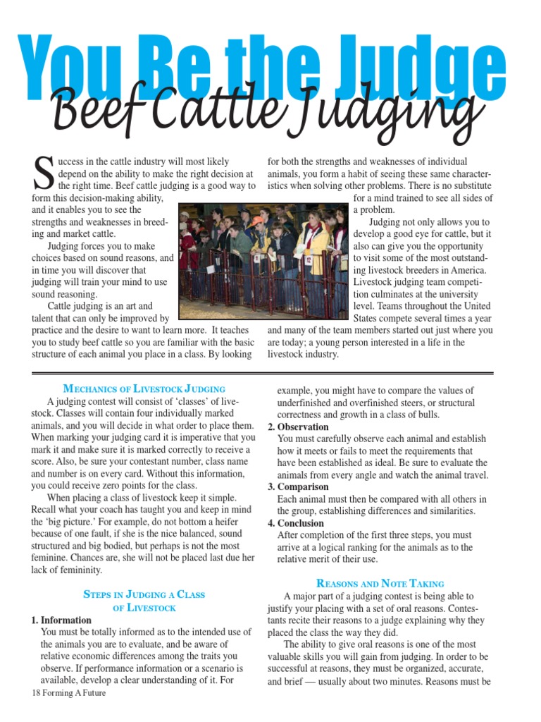 Beef Cattle Judging: You Be The Judge | PDF | Cattle | Calf