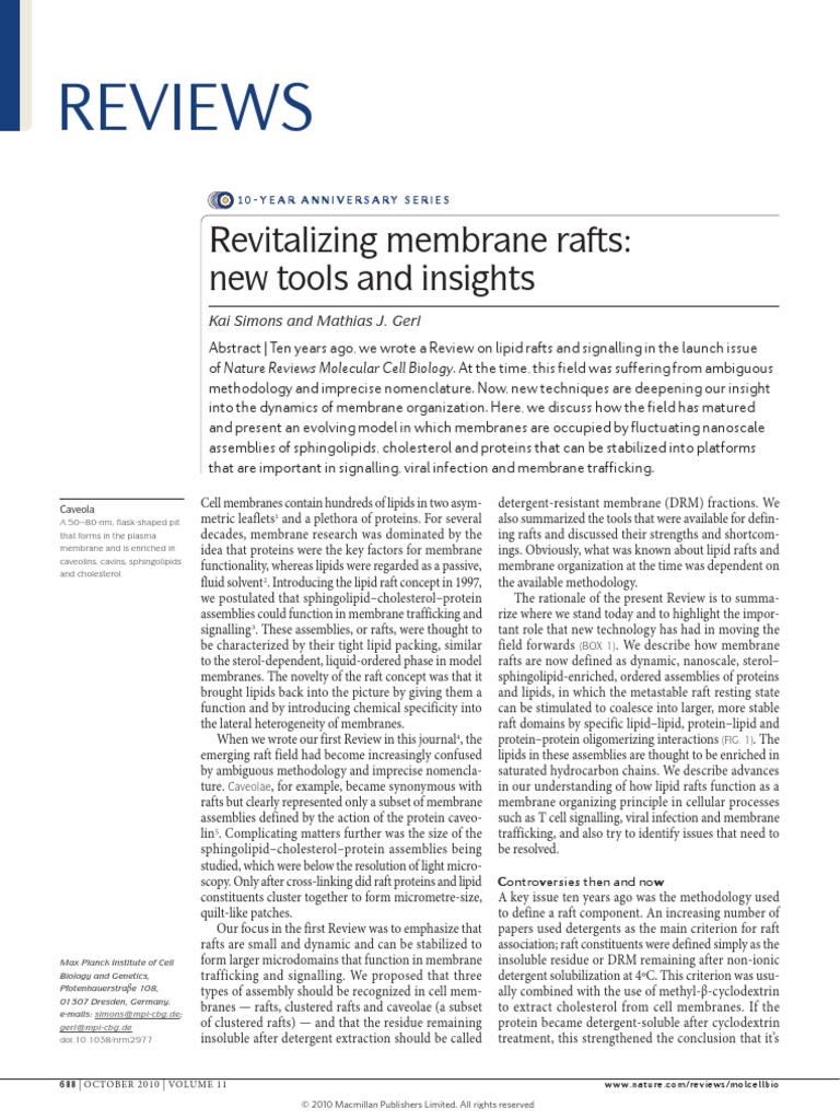 Membrane Rafts | PDF