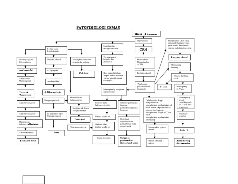 PATOFISIOLOGI CEMAS