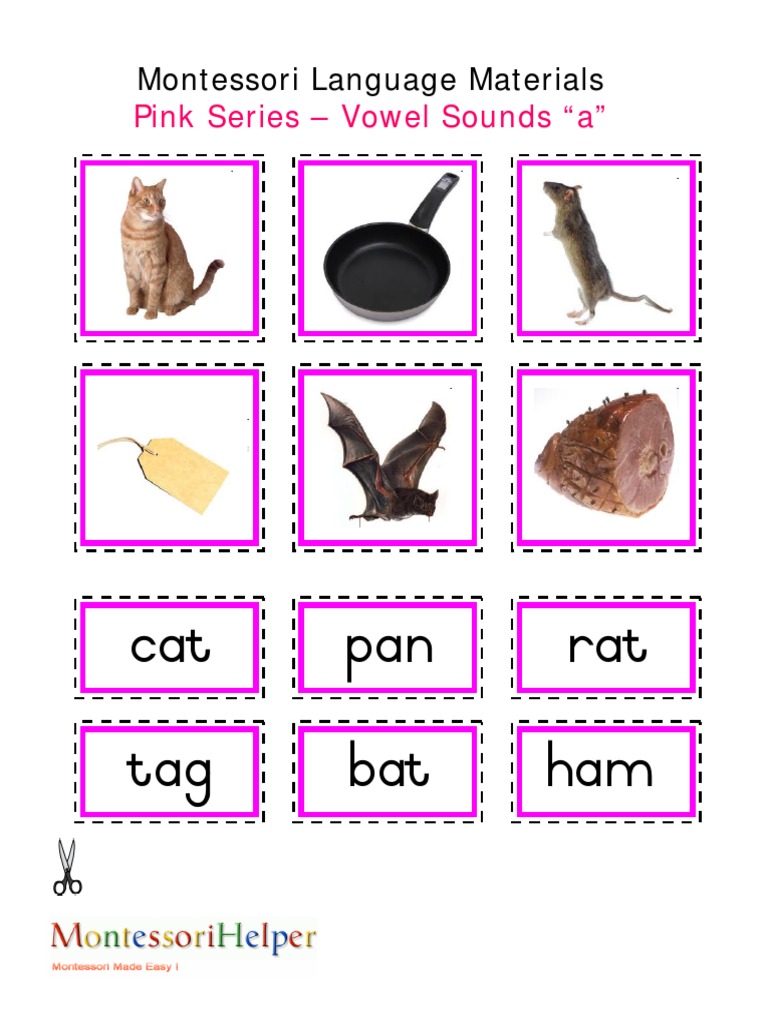 Montessori Pink Series: Vowel Sounds | PDF