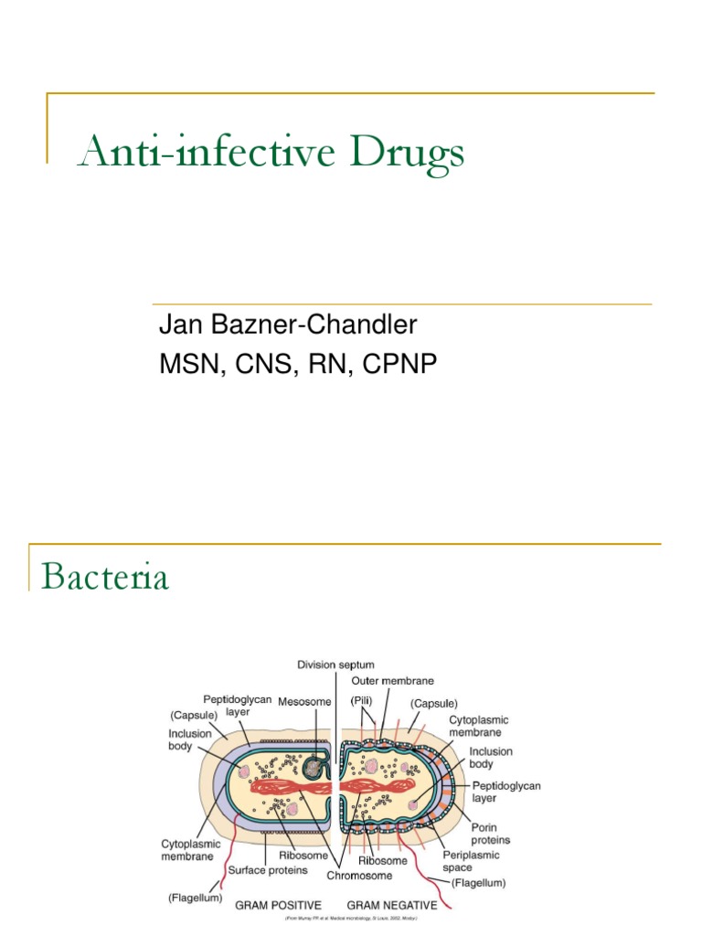 Anti Infective Drugs | PDF