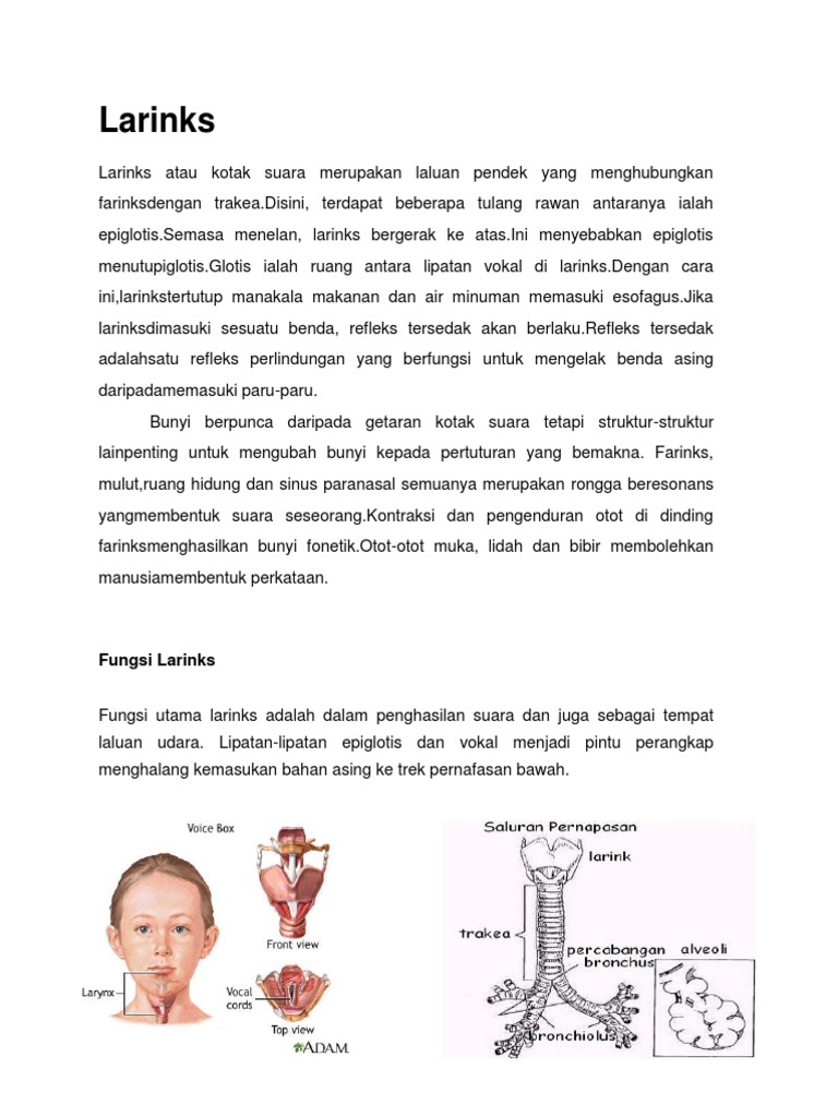 Larink | PDF
